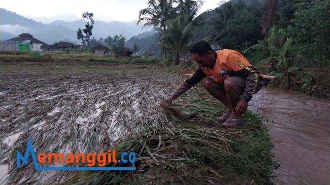 Sungai Cihonje Meluap, Petani di Sumedang Gagal Panen