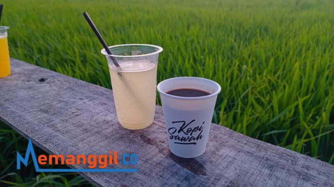 Yuk, Cobain Ngabuburit dengan Suasana Alam di Kopi Sawah Sonogede Blora